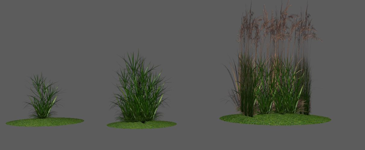 3D model Low Poly Alpha Grass Pack Vol 03 VR / AR / low-poly | CGTrader