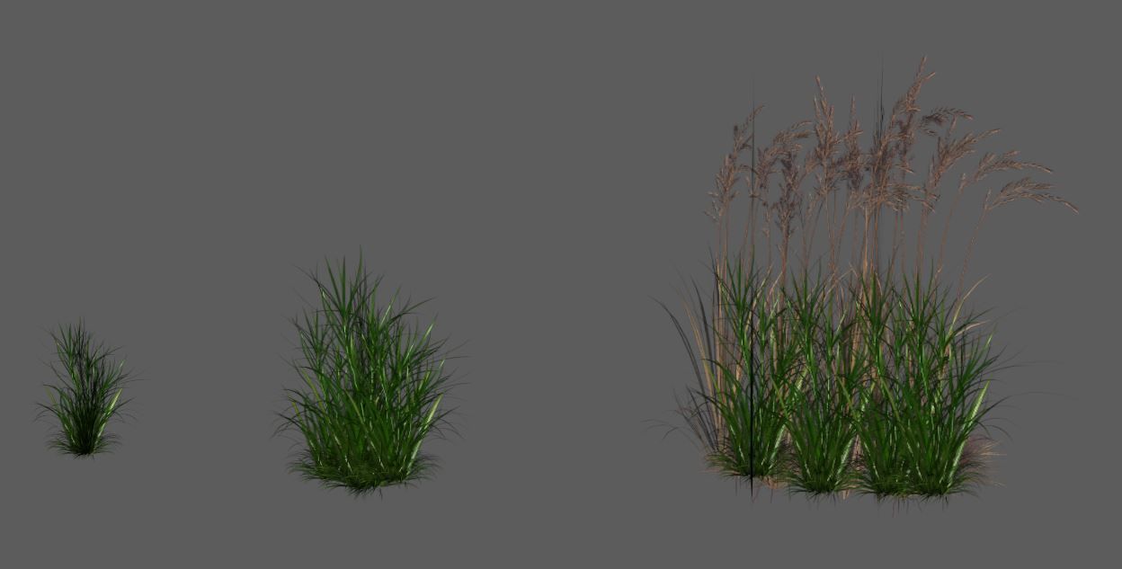 3D model Low Poly Alpha Grass Pack Vol 03 VR / AR / low-poly | CGTrader