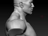 Dwayne The Rock Johnson ztl stl 3D print model 3D model | CGTrader