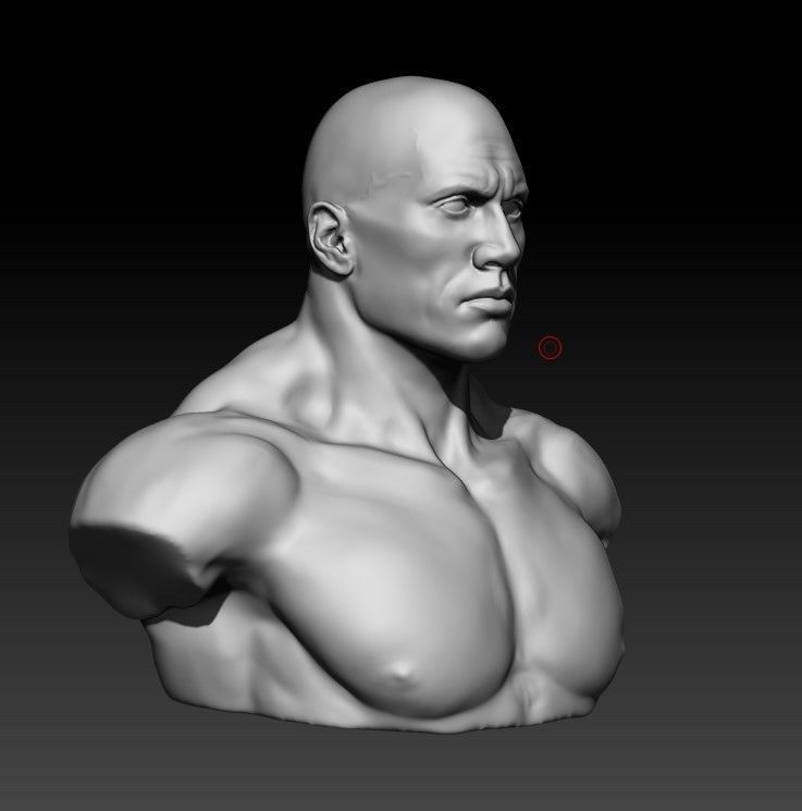 Dwayne The Rock Johnson ztl stl 3D print model 3D model | CGTrader