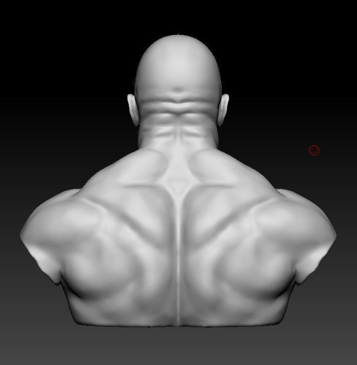 Dwayne The Rock Johnson ztl stl 3D print model 3D model | CGTrader