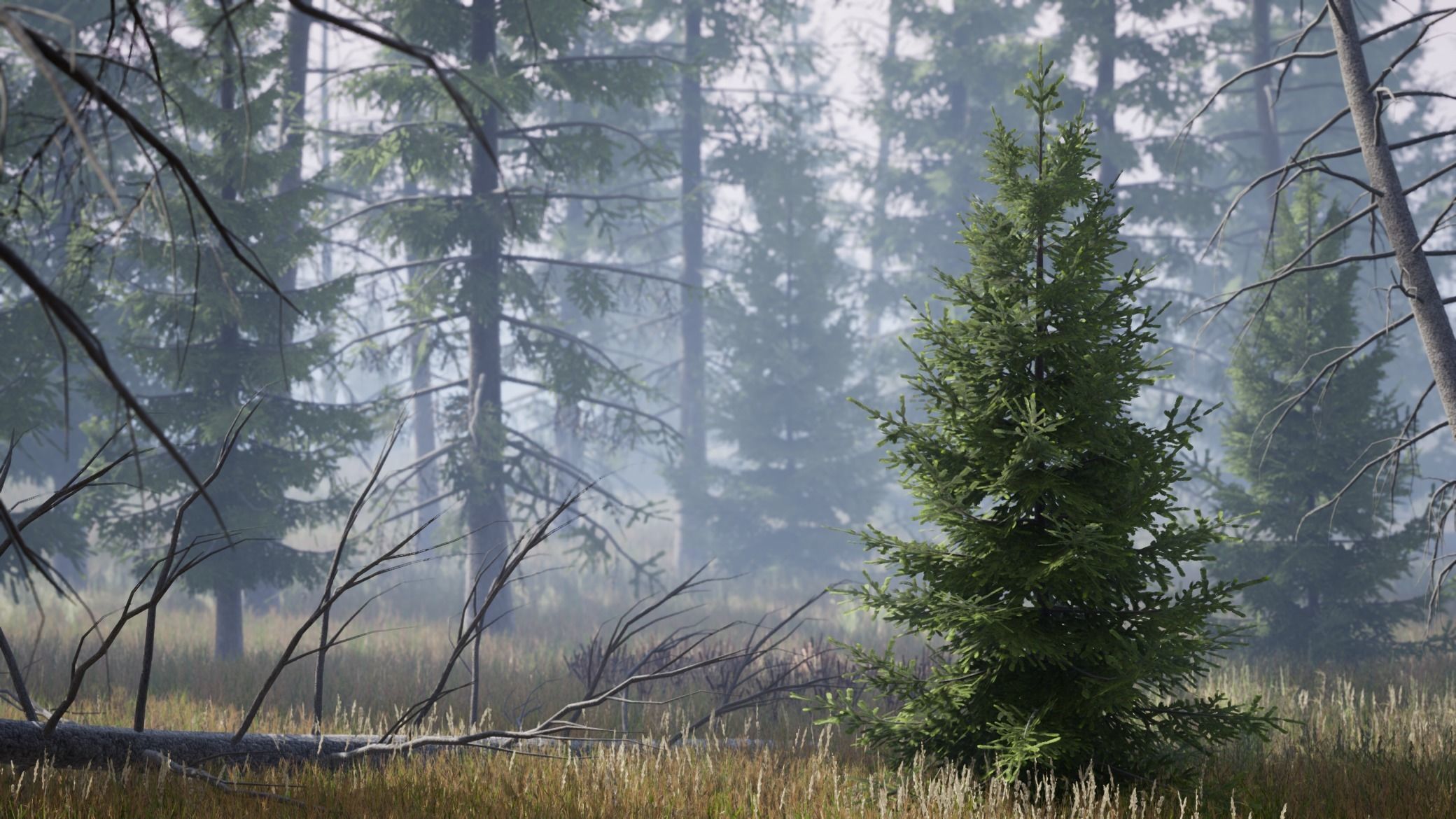 3D model Realistic Spruce Fir Trees for games VR / AR / low-poly ...