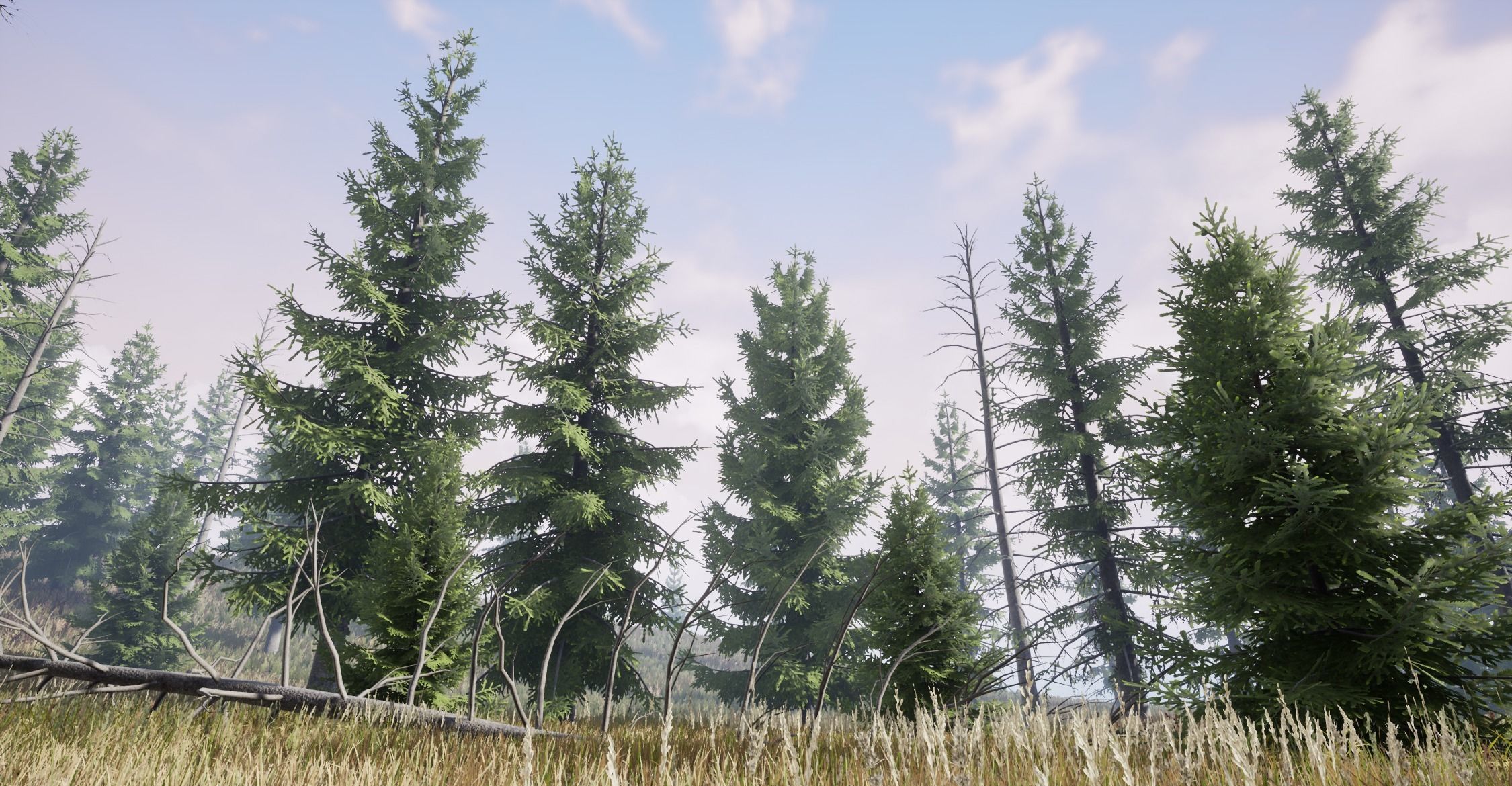 3D model Realistic Spruce Fir Trees for games VR / AR / low-poly ...