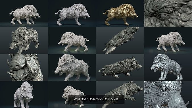 Wild Boar Collection 3D printable | CGTrader