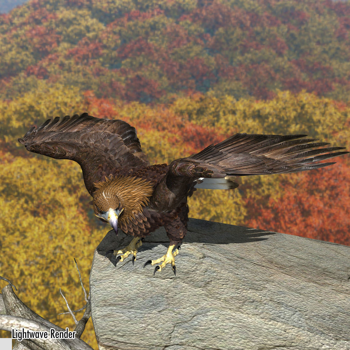 Golden Eagle - rigged - animated standard PBR VRAY 3D model animated ...