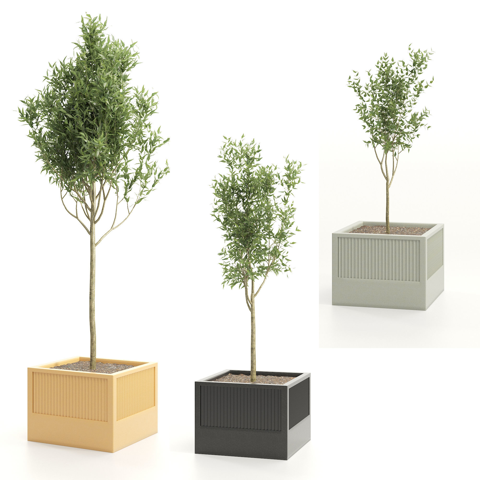 Icaria by esteve bonell 3D model | CGTrader