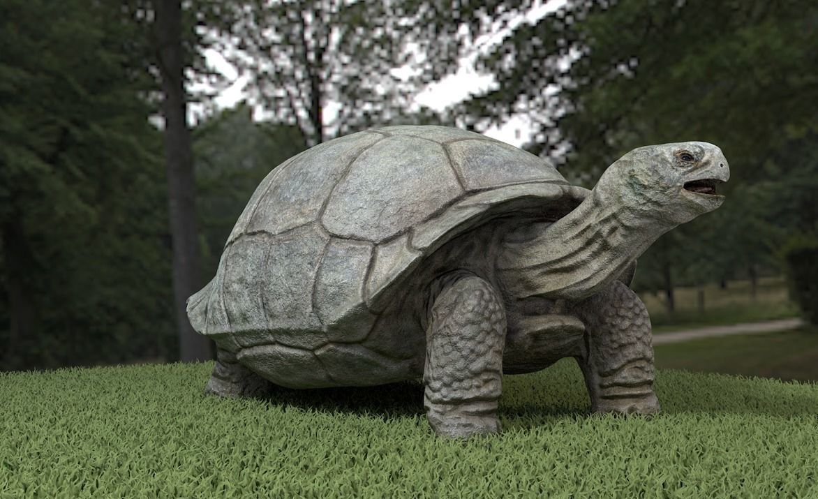 3D model Galapagos Tortoise VR / AR / low-poly rigged animated | CGTrader