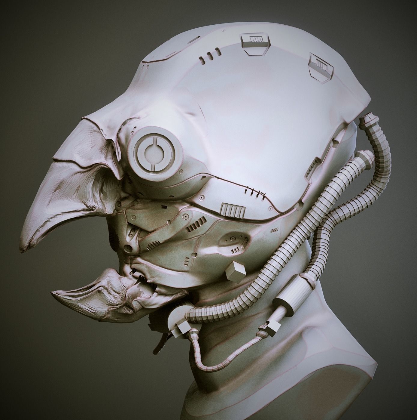 NOSES - 40 ZBrush VDM Nasal Areas 3D model | CGTrader