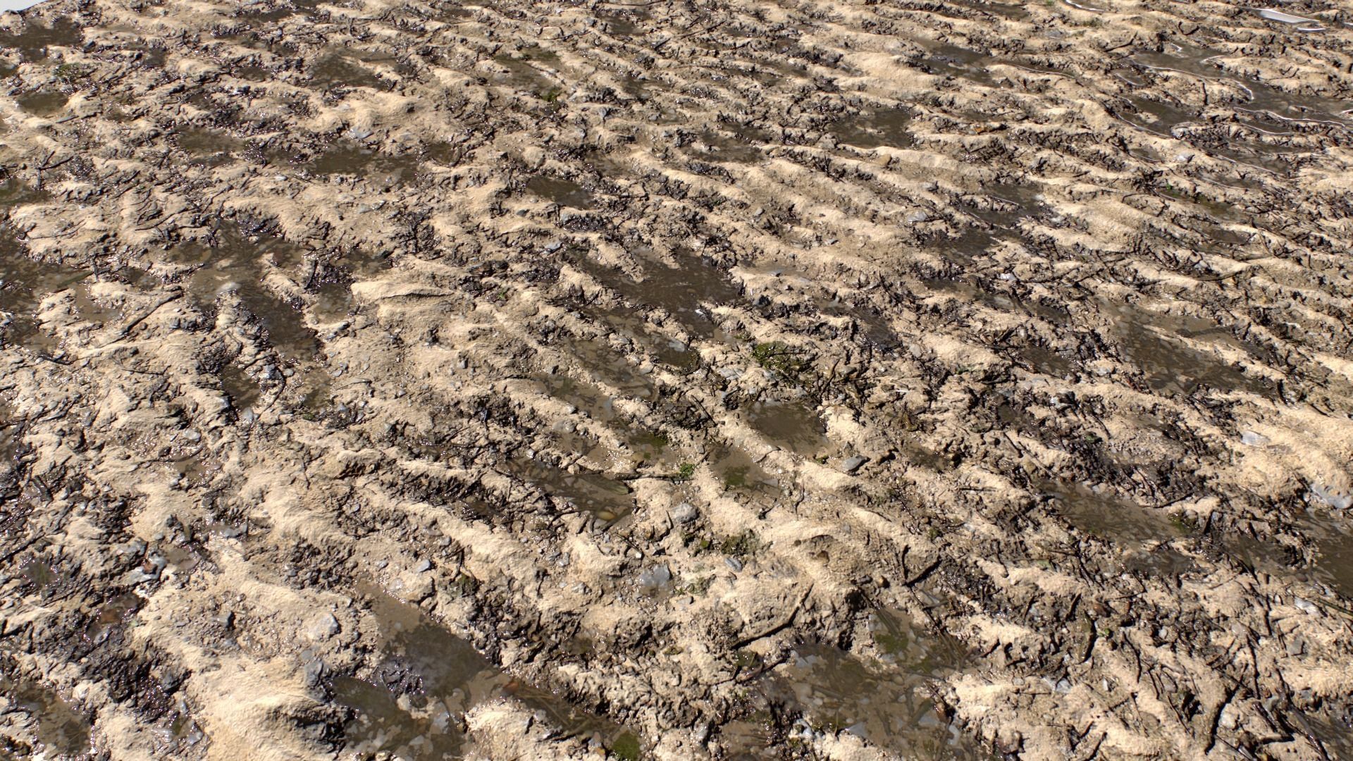 Sand and Mud texture set Texture | CGTrader