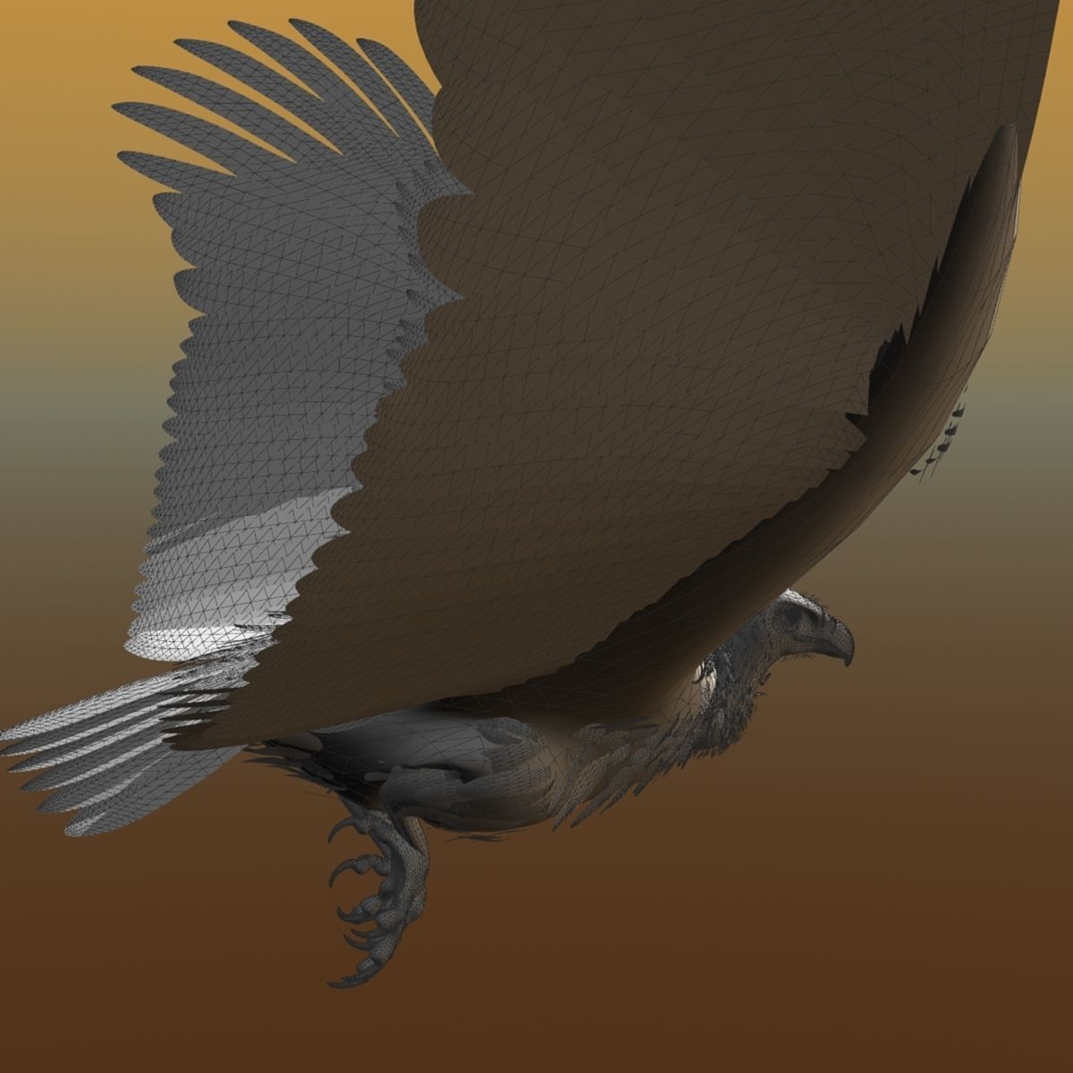 Griffon Vulture - rigged - animated 3D model animated rigged | CGTrader