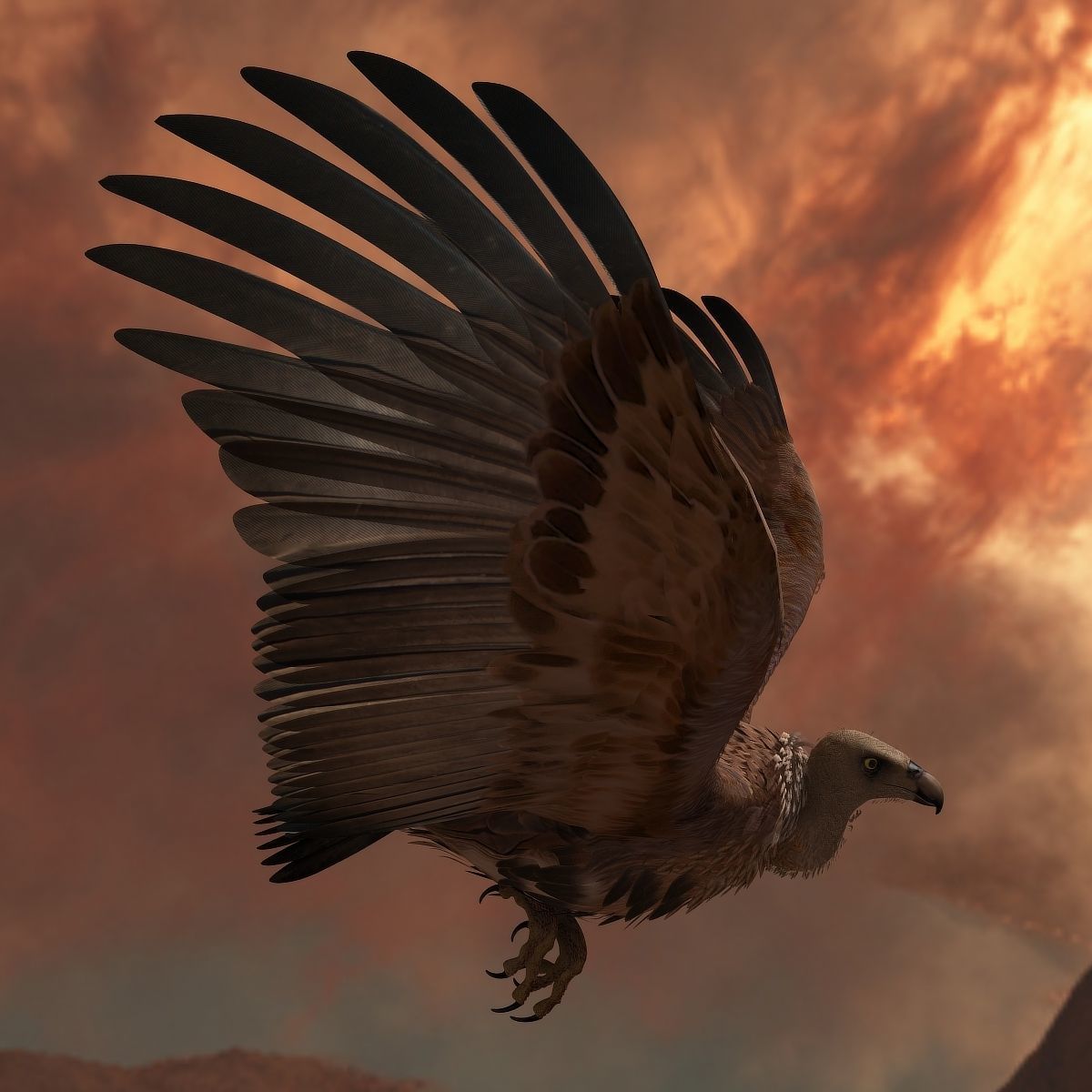 Griffon Vulture - rigged - animated 3D model animated rigged | CGTrader