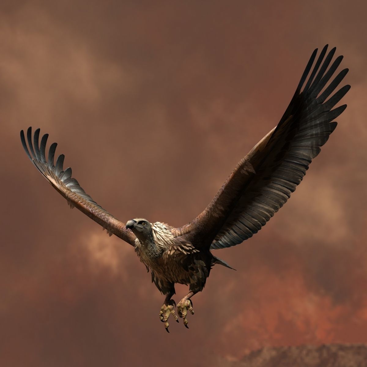 Griffon Vulture - rigged - animated 3D model animated rigged | CGTrader