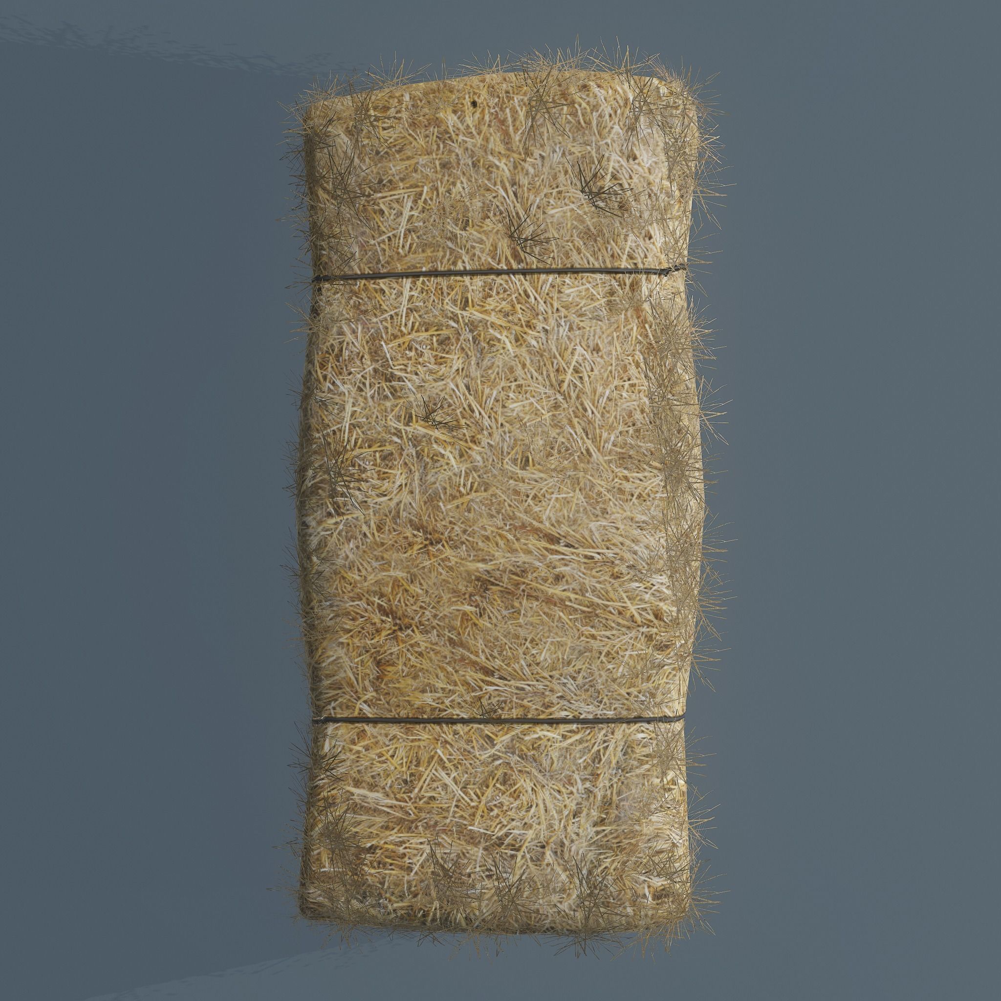 3D model Hay Bale VR / AR / low-poly | CGTrader