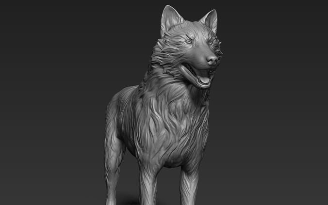 Wolf Sculpt 3D model | CGTrader