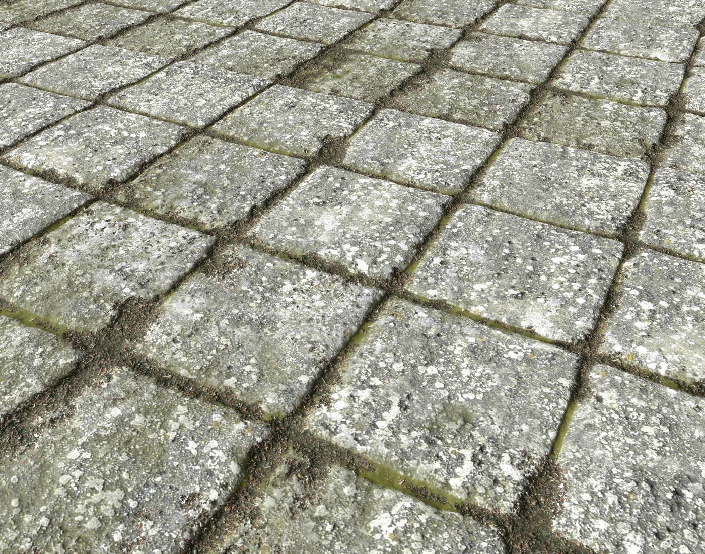 Old stone floor plates seamless PBR 1 Texture | CGTrader
