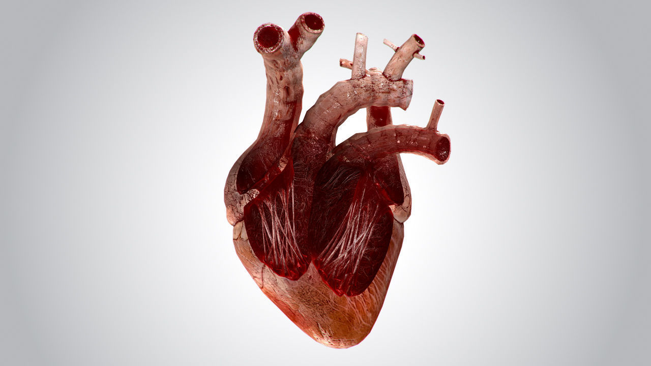 3D model Heart Grungy Rigged Animated PBR VR / AR / low-poly rigged ...