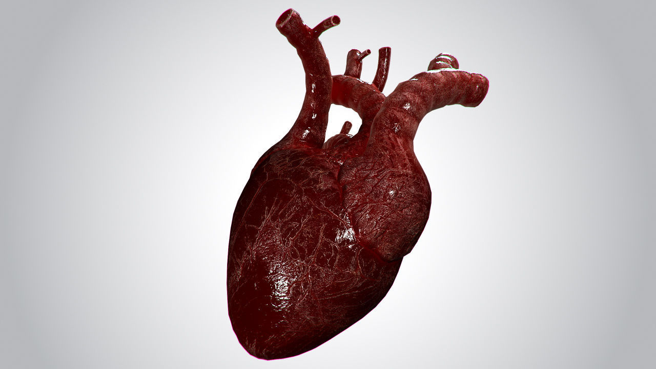 3D model Heart OverBlooded Rigged Animated PBR VR / AR / low-poly ...