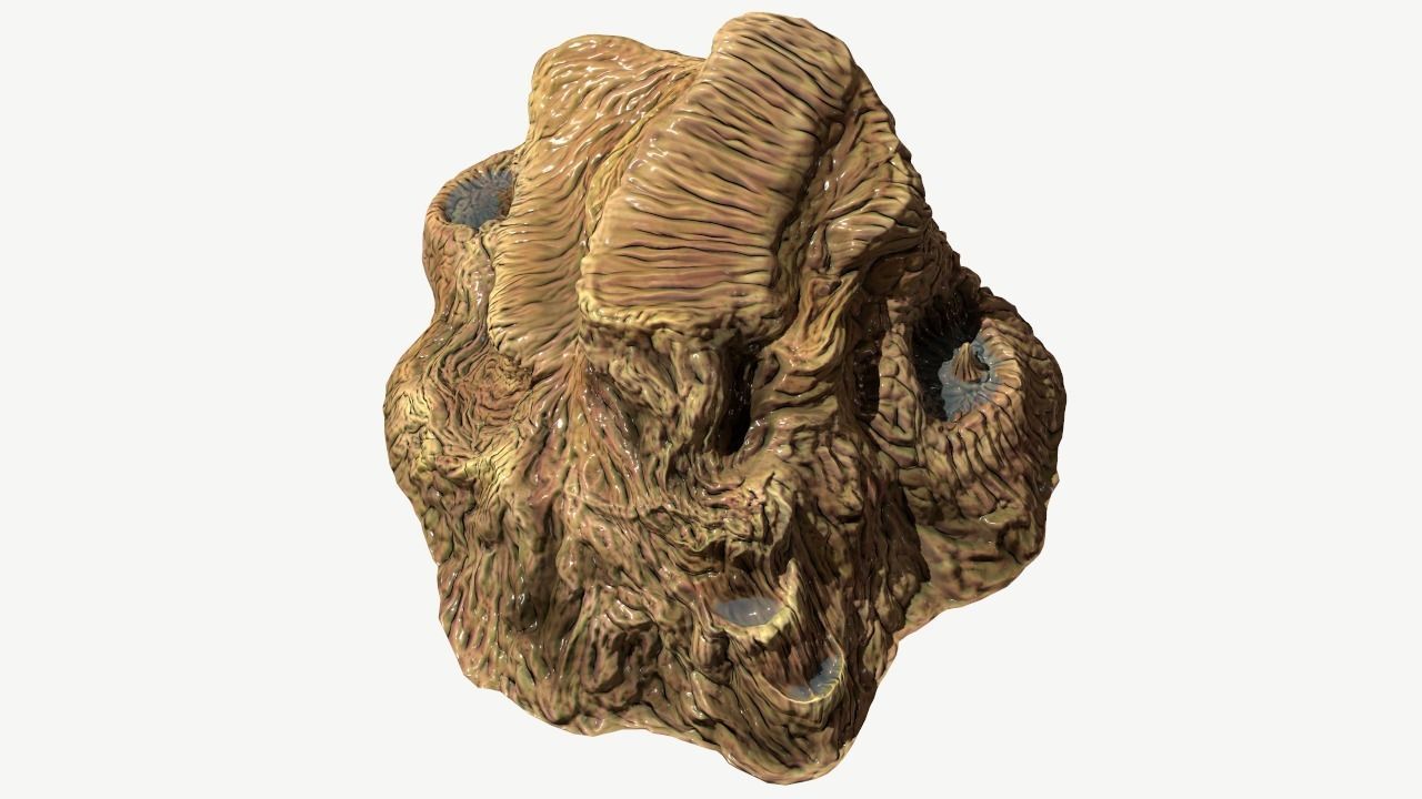 3D model Cave Stalagmites 05 VR / AR / low-poly | CGTrader