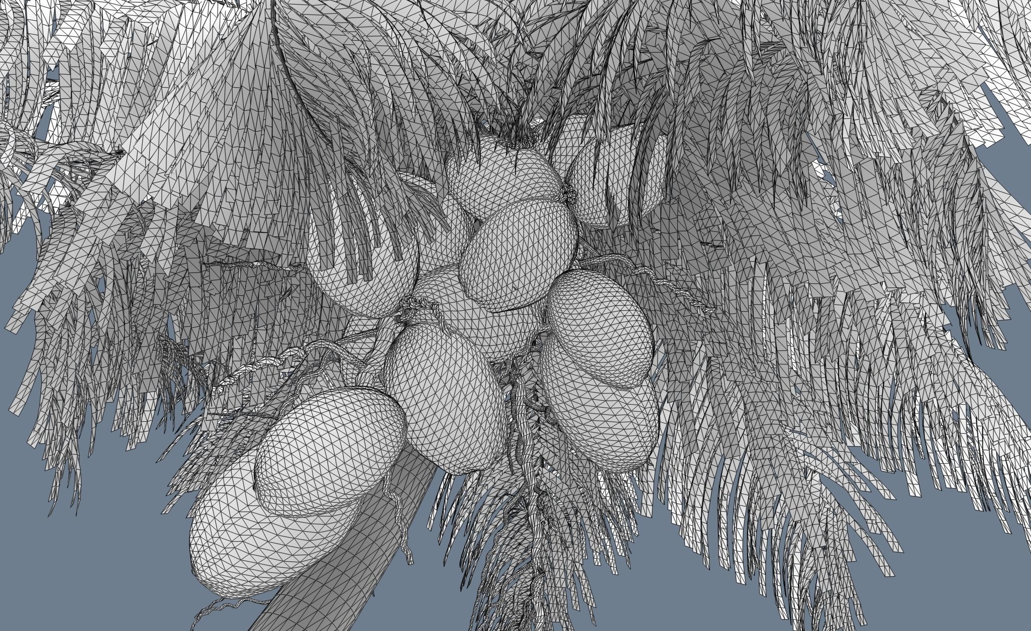 Loop Wind Coconut Palm tree free 3D model animated rigged | CGTrader