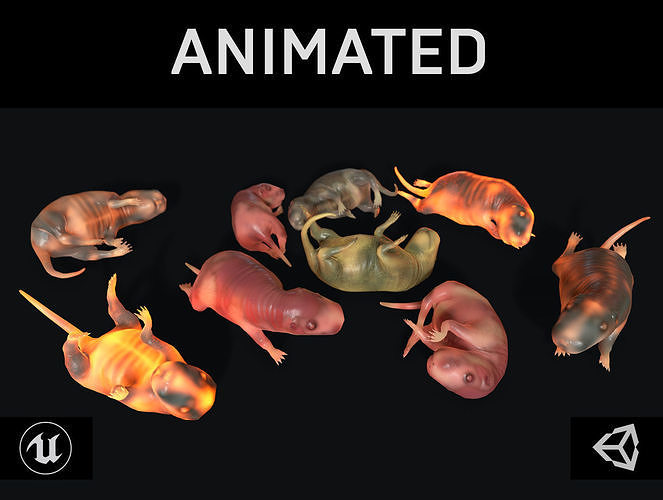 3D model Cub Rat VR / AR / low-poly rigged animated | CGTrader