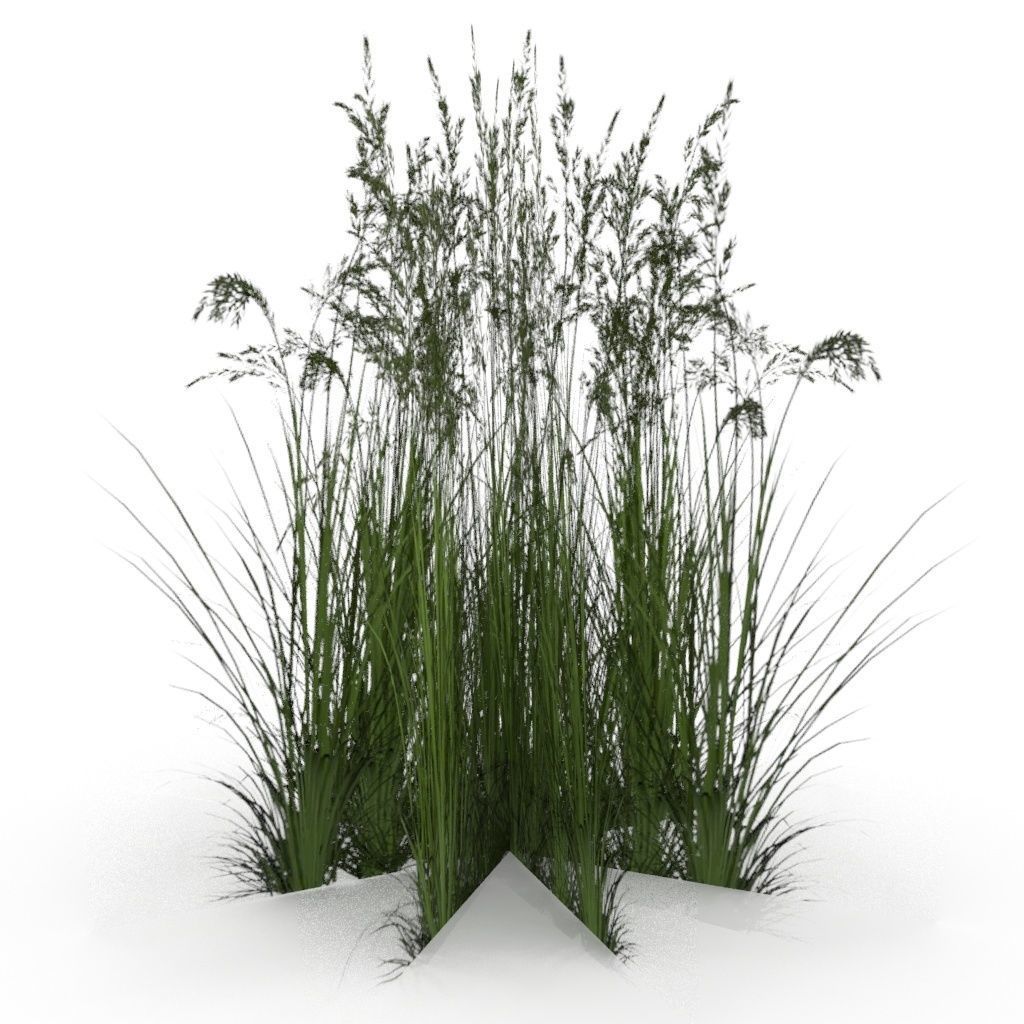 3D model 57 Low Poly Plants VR / AR / low-poly | CGTrader