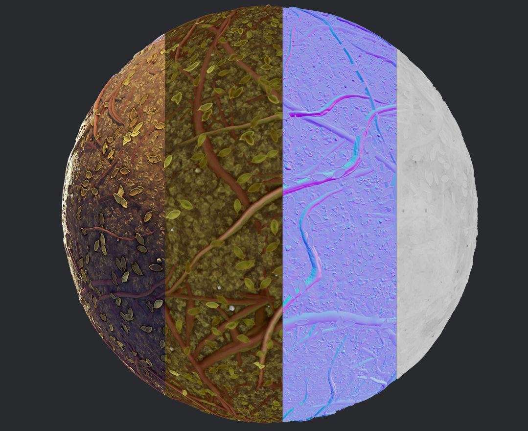 Stylized Forest Ground PBR texture Texture | CGTrader