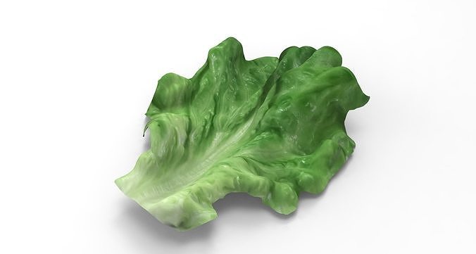 Lettuce Leaf Avatar