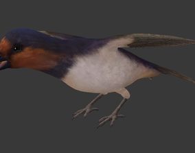 Swallow 3D Models | CGTrader