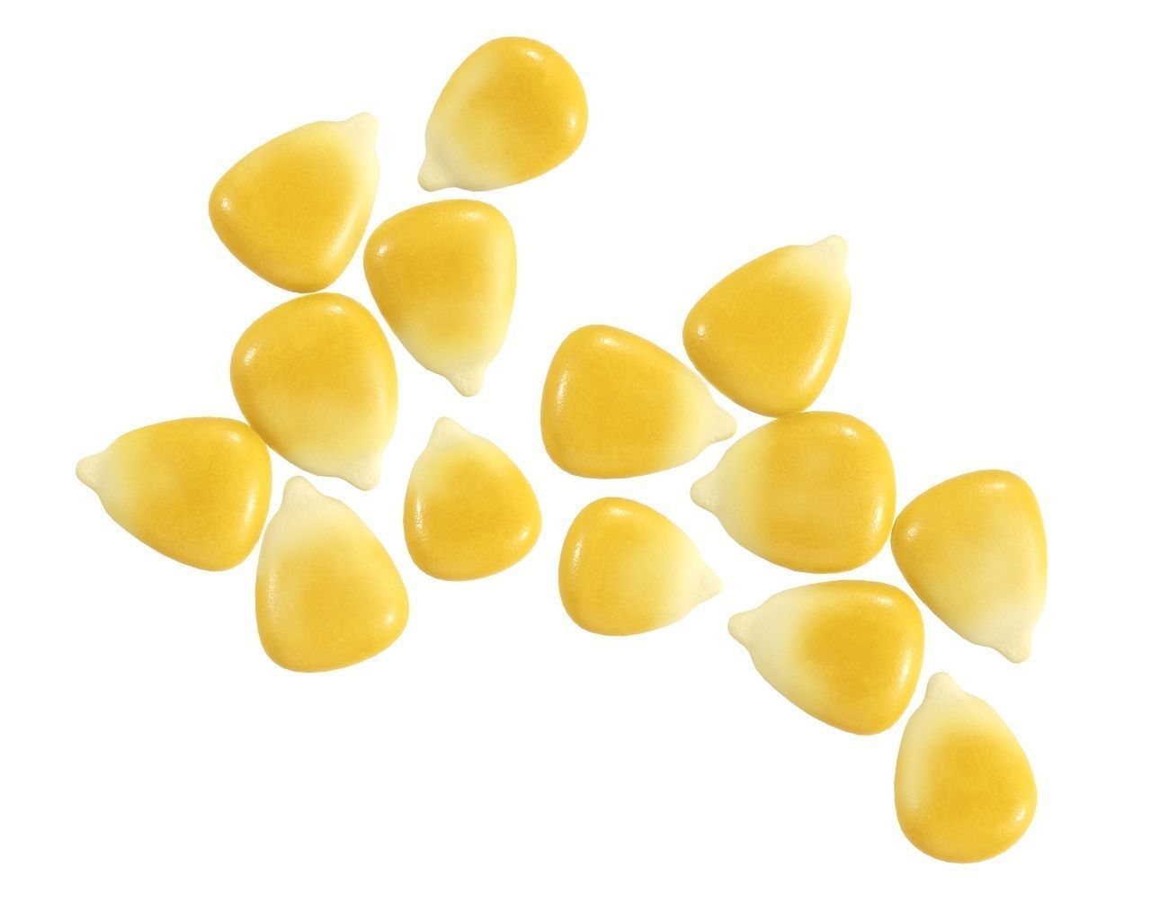 Corn kernel 3D model | CGTrader