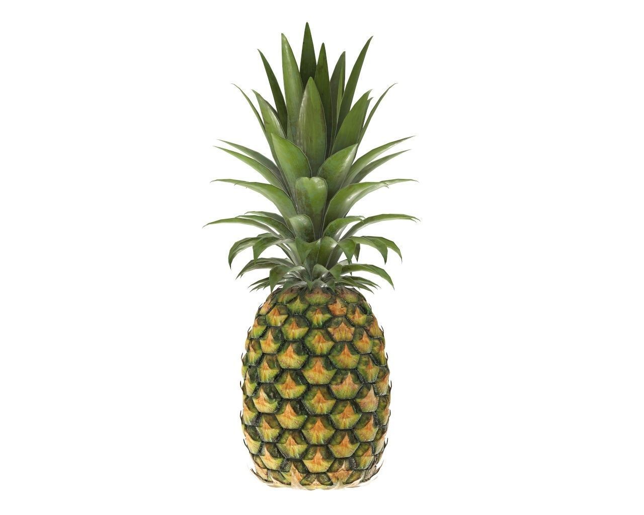 Pineapple 3D model | CGTrader