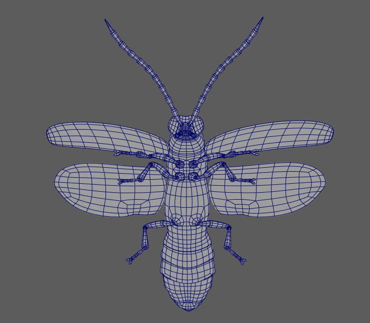 Firefly 3D model | CGTrader