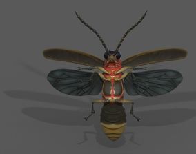 Firefly 3D Models | CGTrader