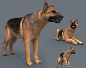 Rigged Dog 3D Models | CGTrader