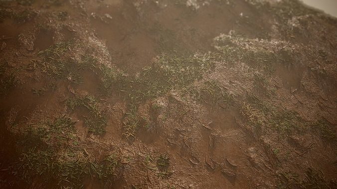 Mud Grass free Texture | CGTrader