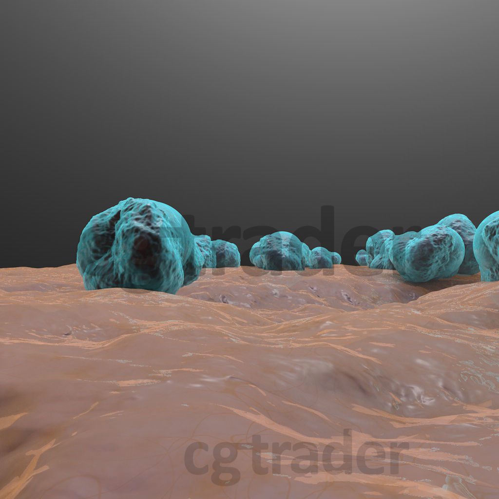 Bacteria 3D model | CGTrader