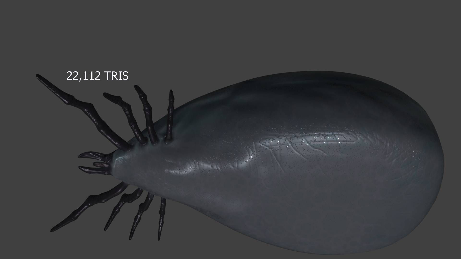 3D model well fed tick VR / AR / low-poly rigged | CGTrader