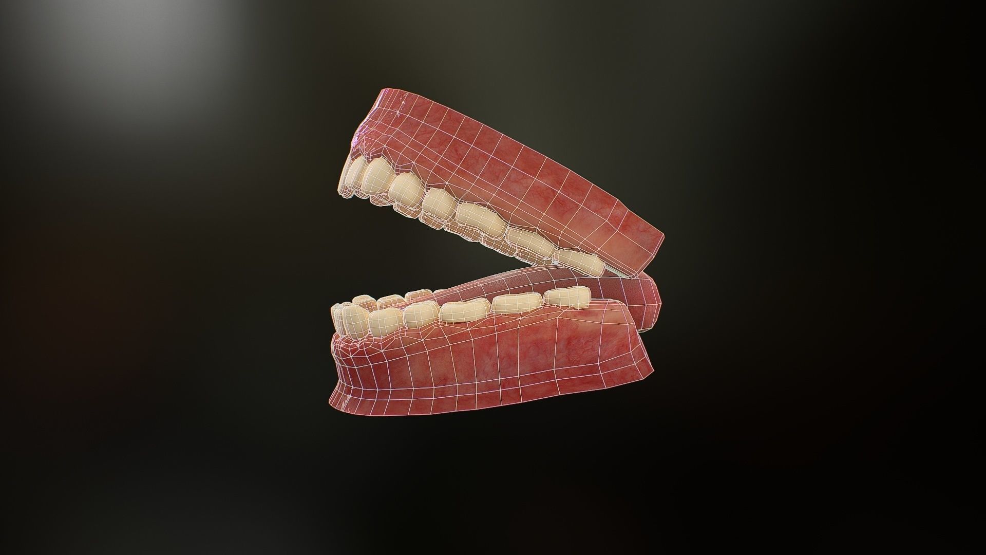 3D model Realistic human Teeth - Mouth for character Low-poly 3D model ...
