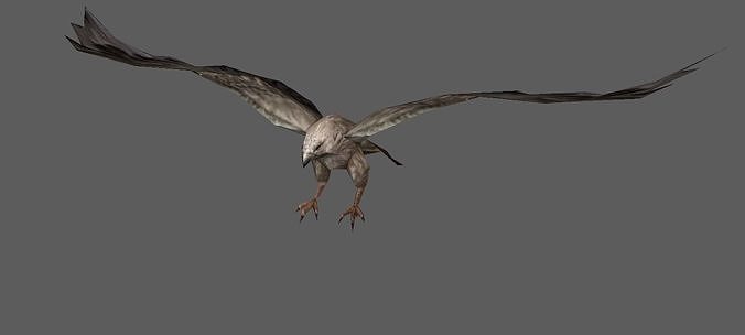 3D model Hawk Low Poly VR / AR / low-poly | CGTrader