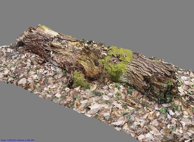 Wood Log 3D model | CGTrader