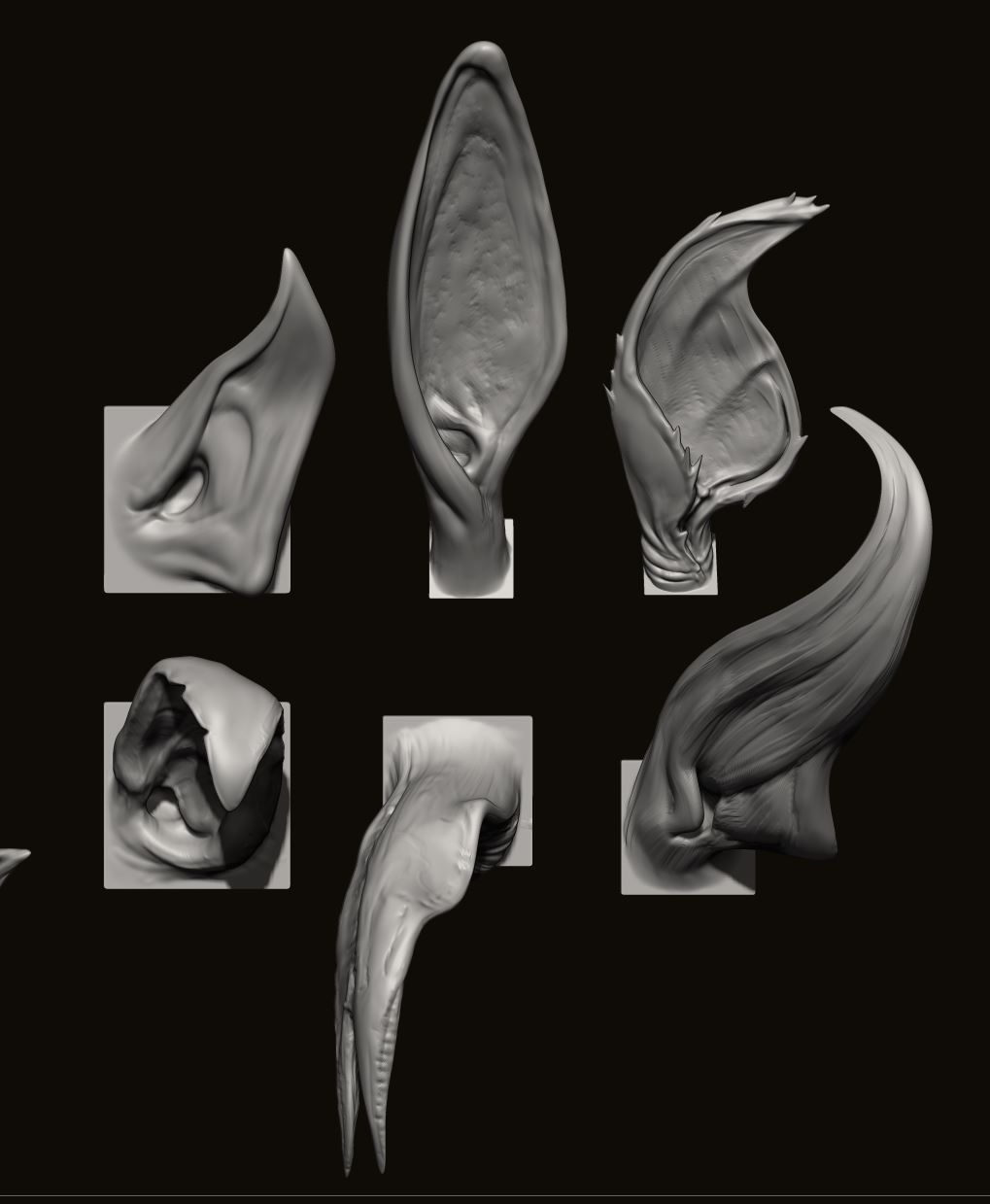 EARS - 40 ZBRUSH VDMs 3D model | CGTrader