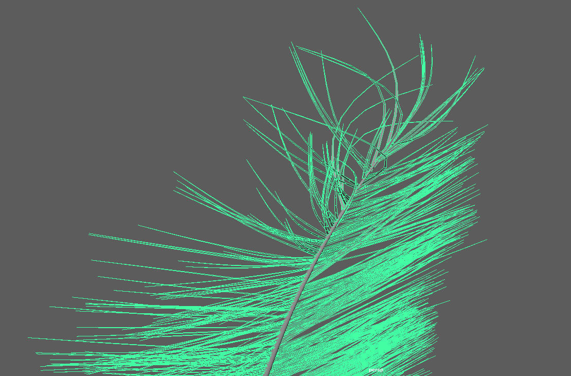 Feather free 3D model | CGTrader