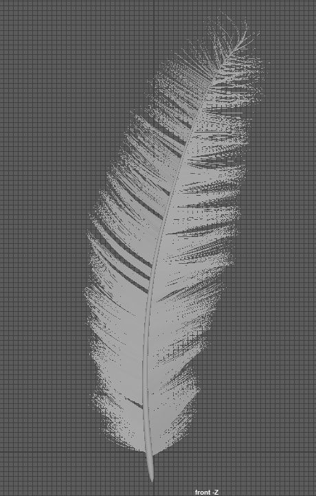 Feather free 3D model | CGTrader