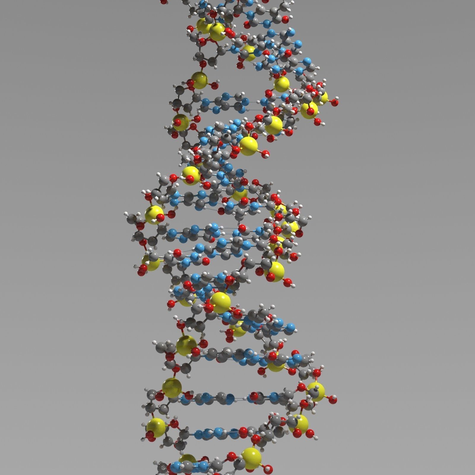 DNA Science model 3D model | CGTrader