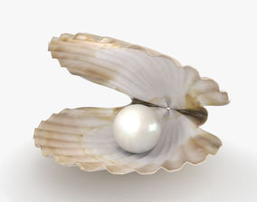 Free Seashell 3D Models | CGTrader