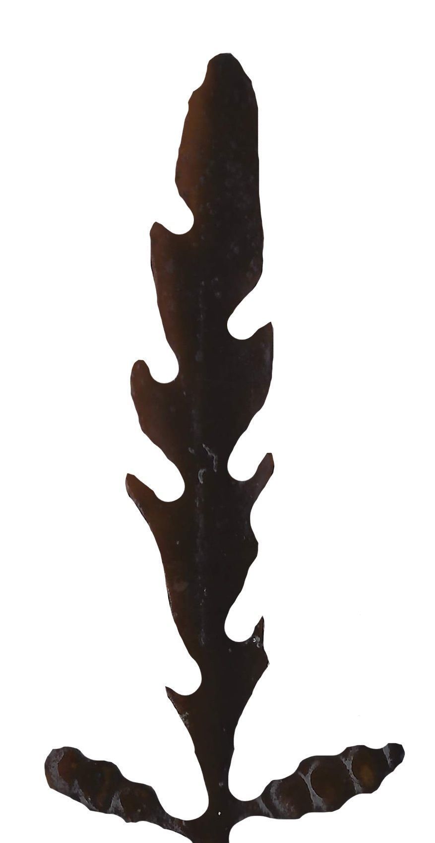 Red and Brown Algae Scanned Texture Pack - 37 Textures free Texture ...