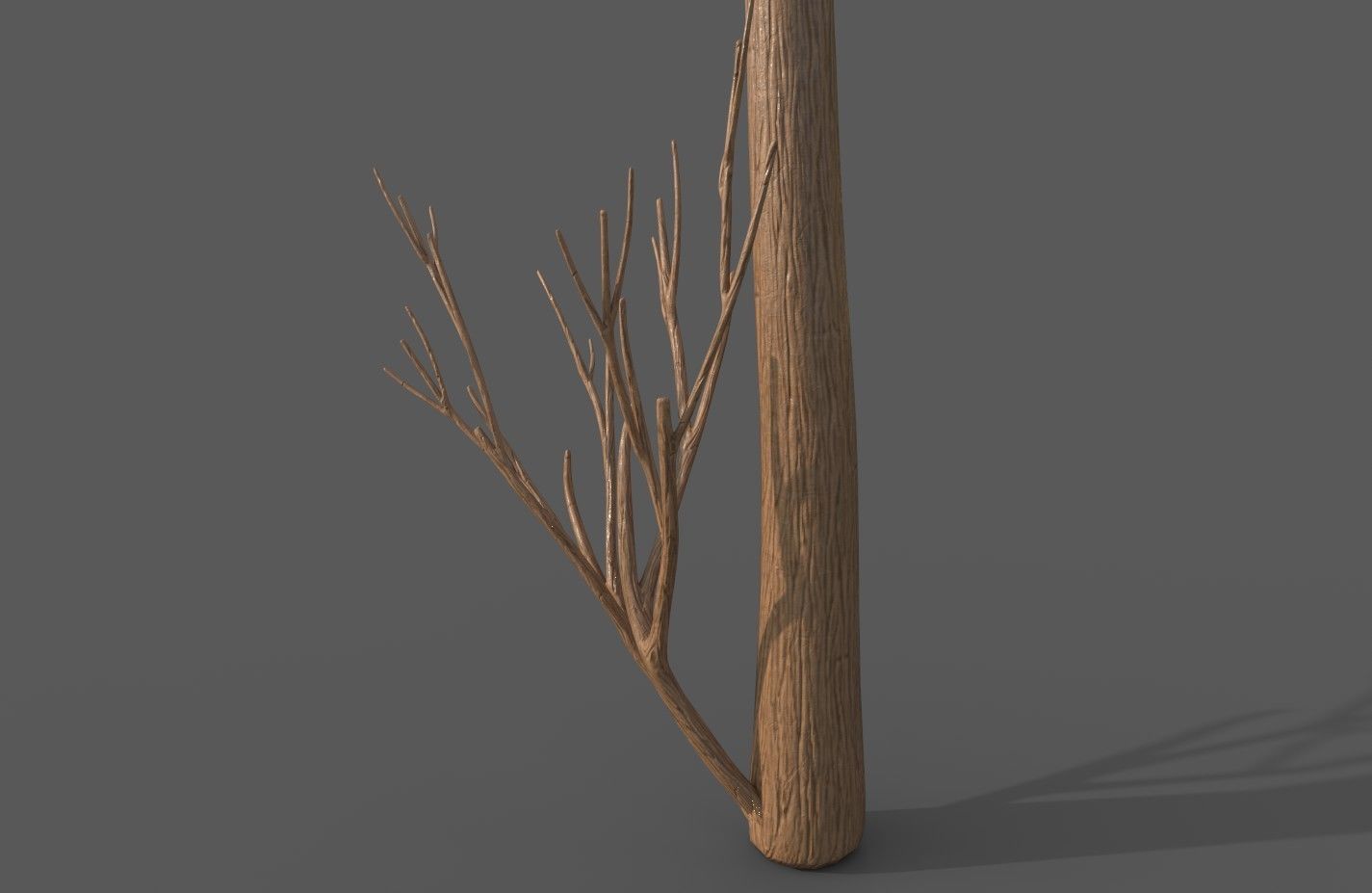 Cartoon Stylized Tree Trunk Set - 6 Piece 3D model | CGTrader