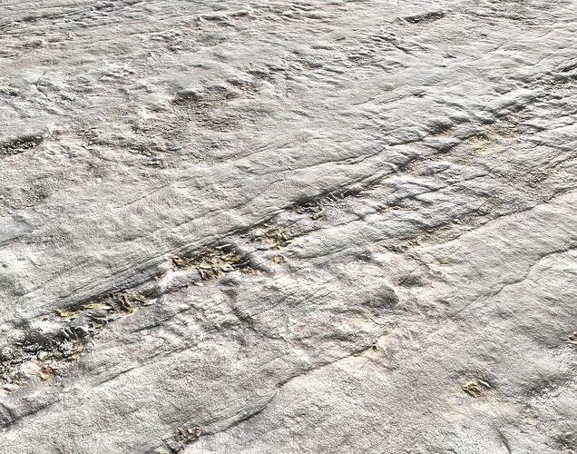 Arid White Ground PBR Texture | CGTrader