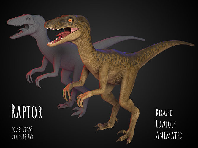 3D model Raptor 3d lowpoly model rigged VR / AR / low-poly | CGTrader