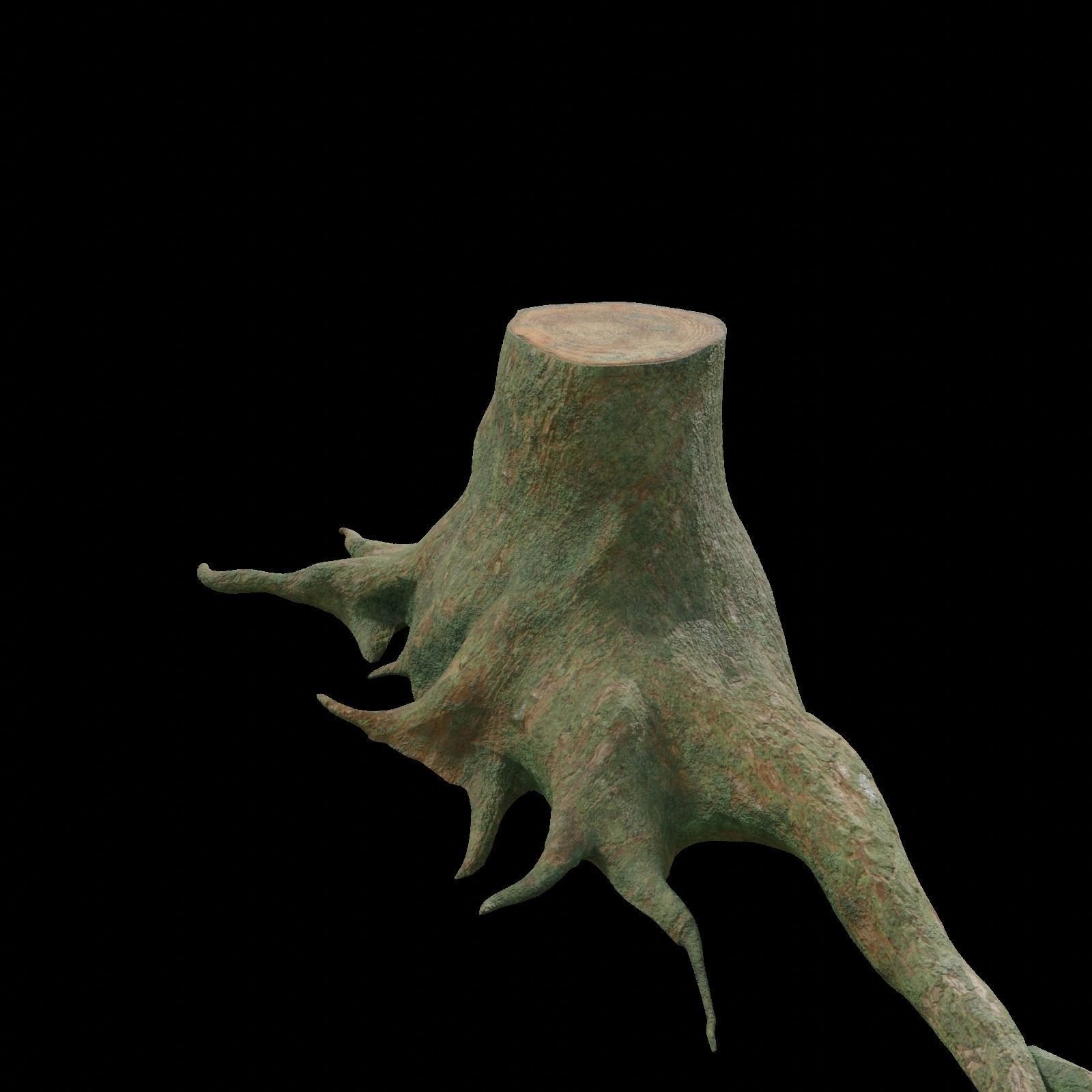 tree root 3D model | CGTrader