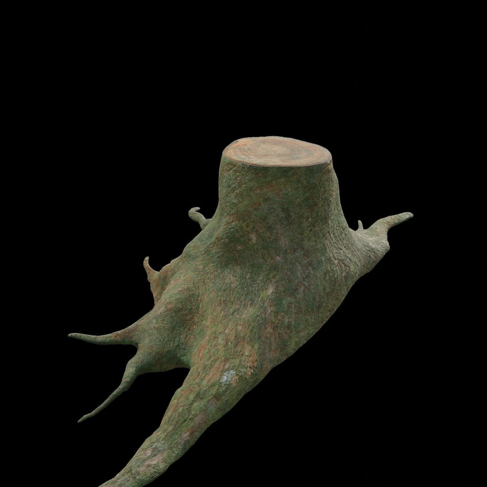 tree root 3D model | CGTrader